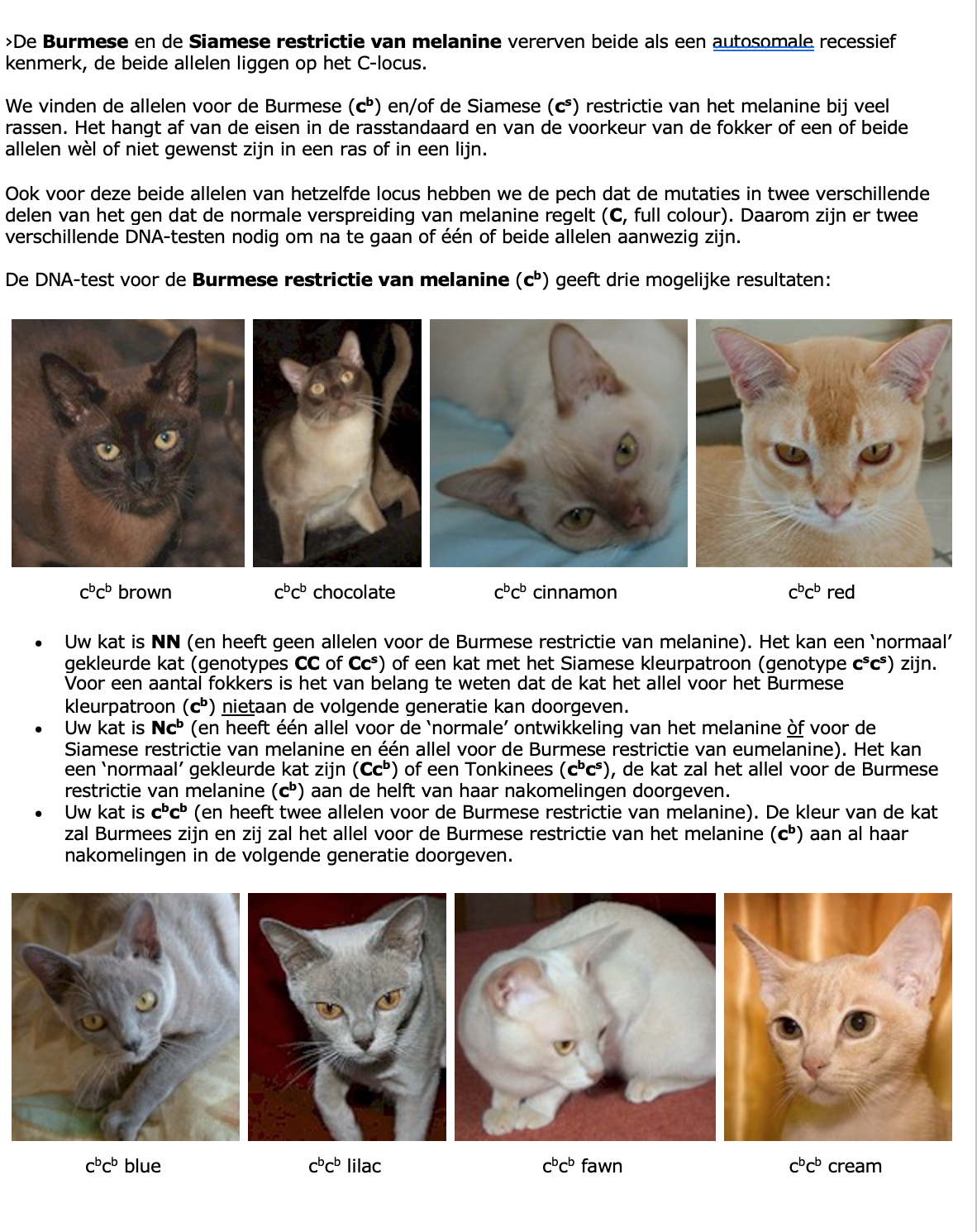 Nederlandse Raskatten Vereniging - Vacht kleuren bij de kat